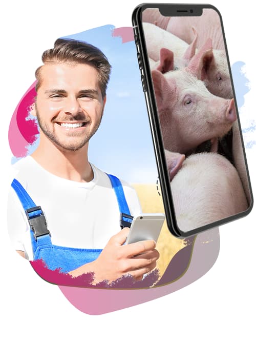 Isagri - PIG'UP : la solution de gestion d'élevage porcin