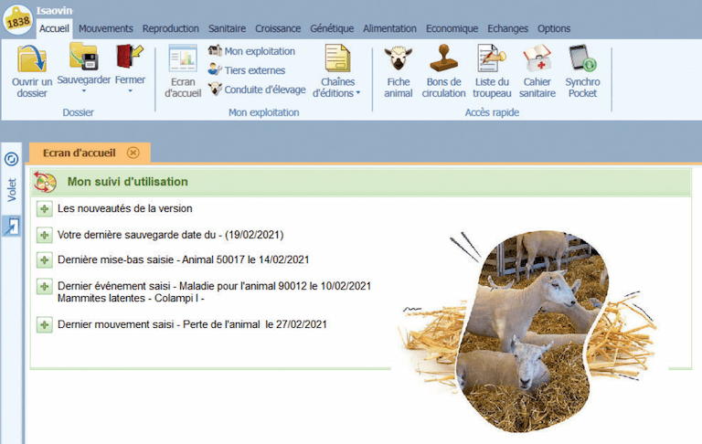 ISAOVIN Logiciel de gestion de troupeau ovin