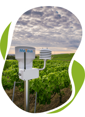 GEOFOLIA Un nouveau regard sur vos vignes | Isagri